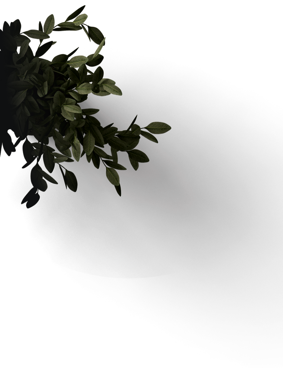 RUNOVSKY 14 (Руновский 14) — многофункциональный комплекс в районе Замоскворечье